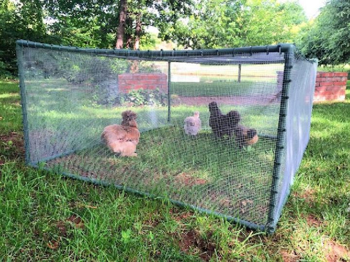 27 Free DIY Chicken Coop Plans That Beginners Can Build