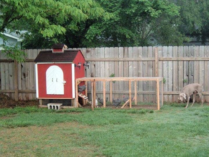 27 Free DIY Chicken Coop Plans That Beginners Can Build
