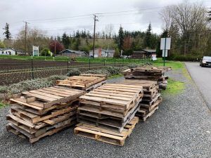 Where to Get Free Pallets - Free Pallets Near Me